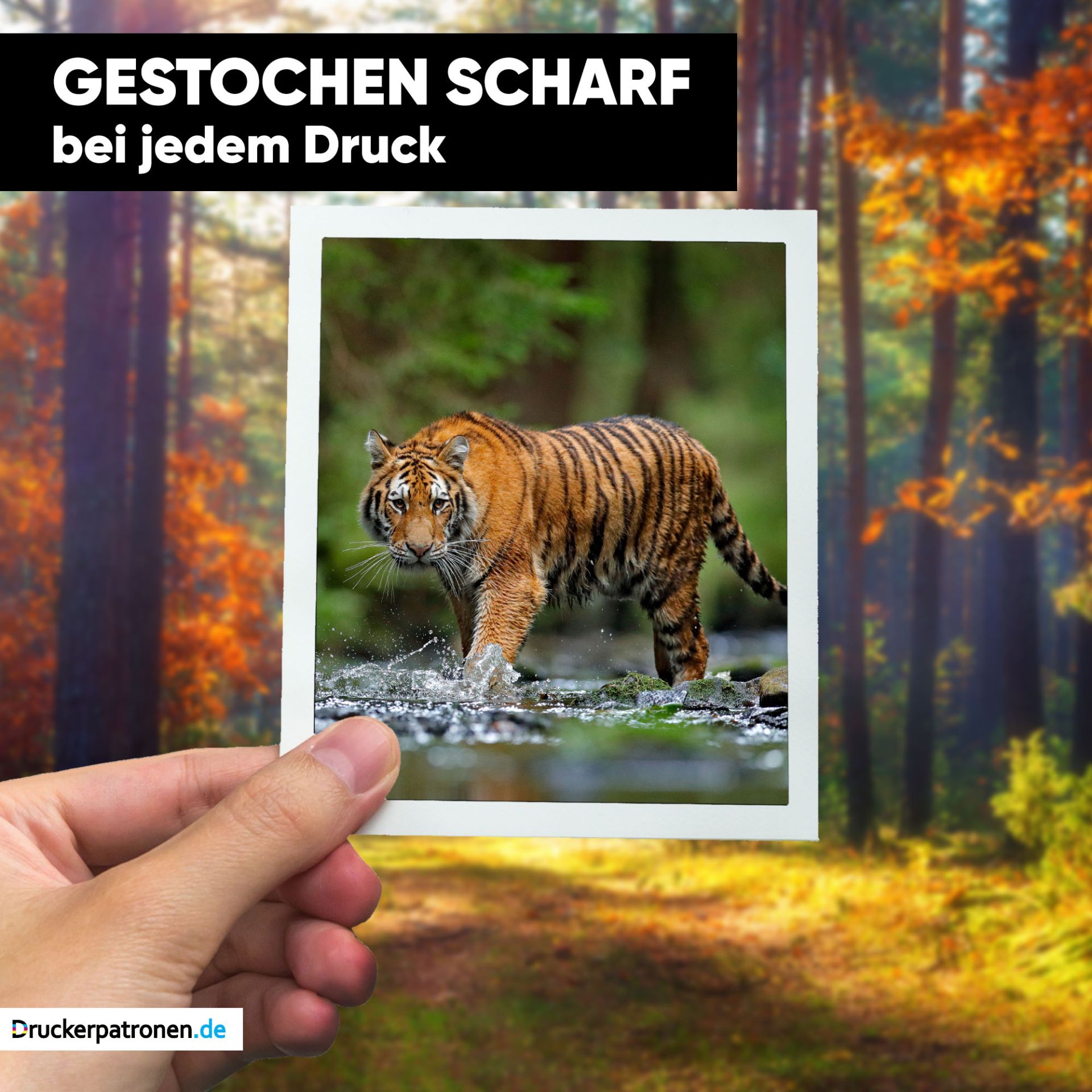 Canon Pixma MG 3600 Series Druckerpatronen günstig kaufen